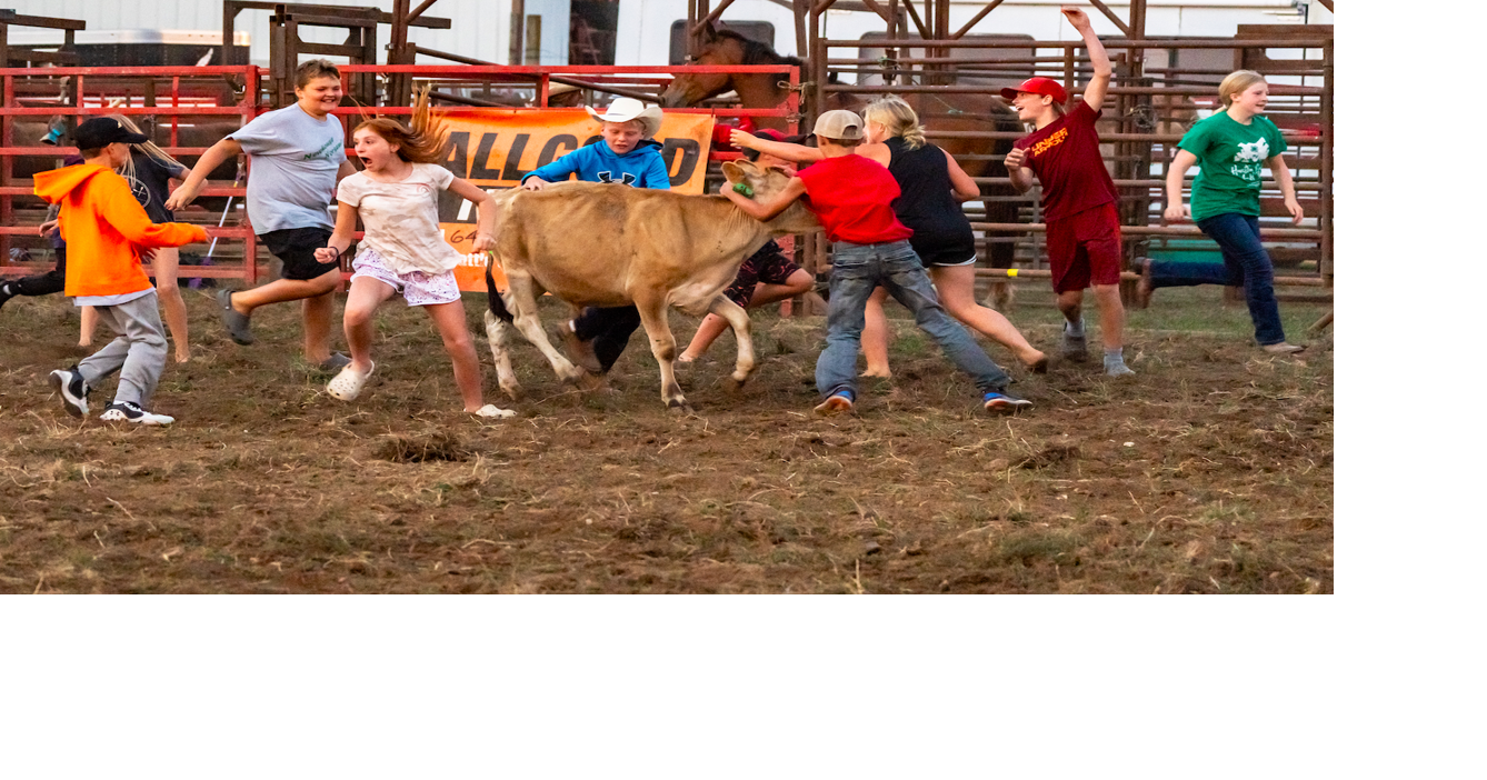 Enjoy more Houston County fair photos | | hometownsource.com