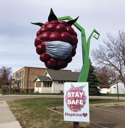 World's Largest Raspberry wears a mask | Free | hometownsource.com