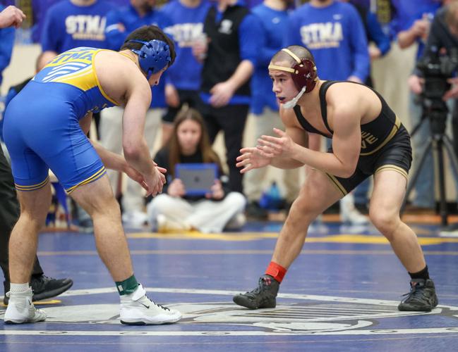 4 Crimson wrestlers punch tickets to state tournament | Sports ...