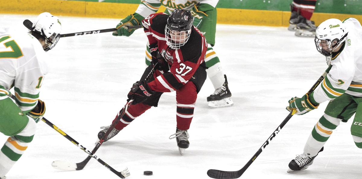 Eagles hockey enter section play as third-seed | Eden Prairie ...