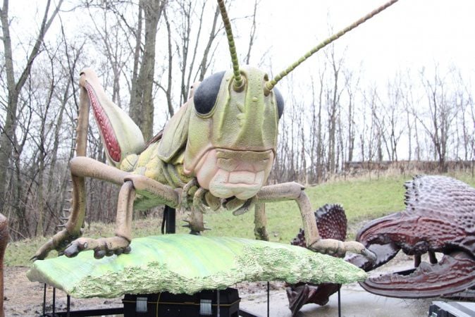 Big Bugs! invade Minnesota Zoo | Arts & Entertainment | hometownsource.com
