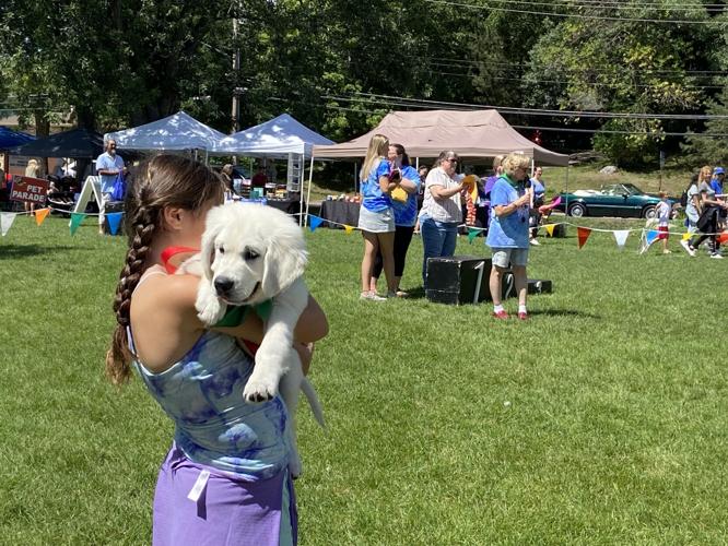 Surfside Park goes to the dogs | Community | hometownsource.com