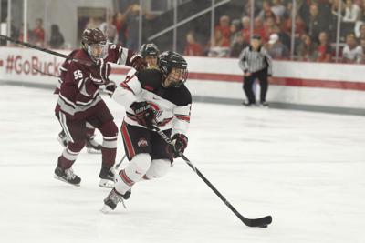 Hockey Day to be homecoming for Bizal, Levis | Elk River ...