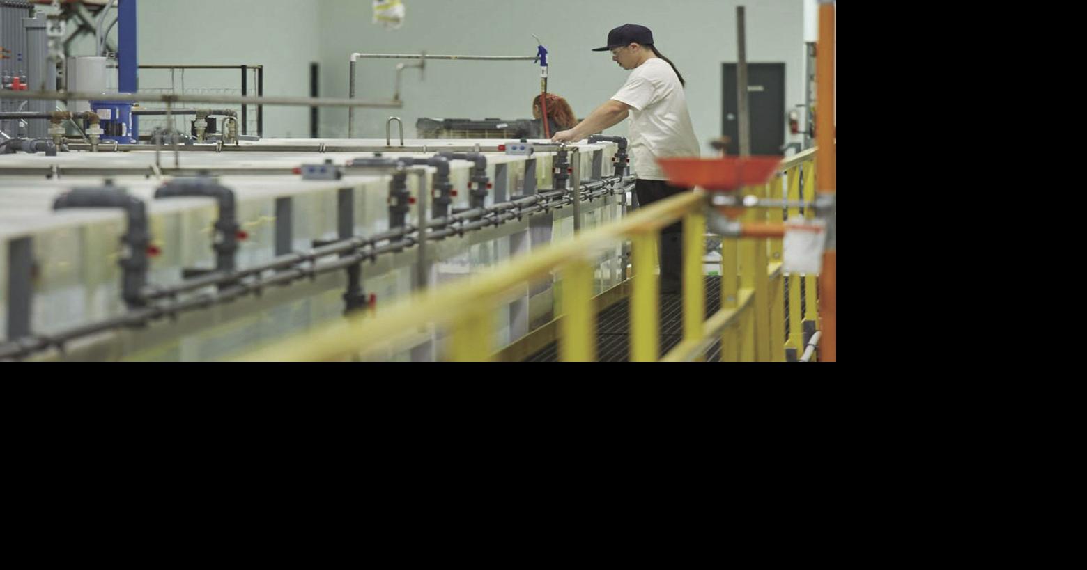 Fridley-based INCERTEC added to SpaceX approved vendors list | Fridley ...