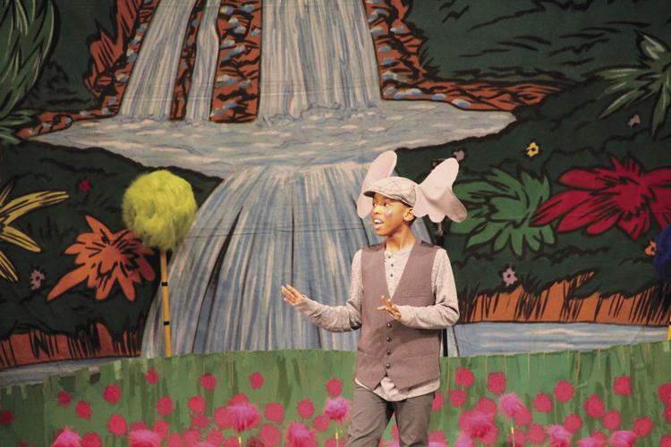 Seussin’ it up for the Aquila Elementary play in St. Louis Park | Free ...