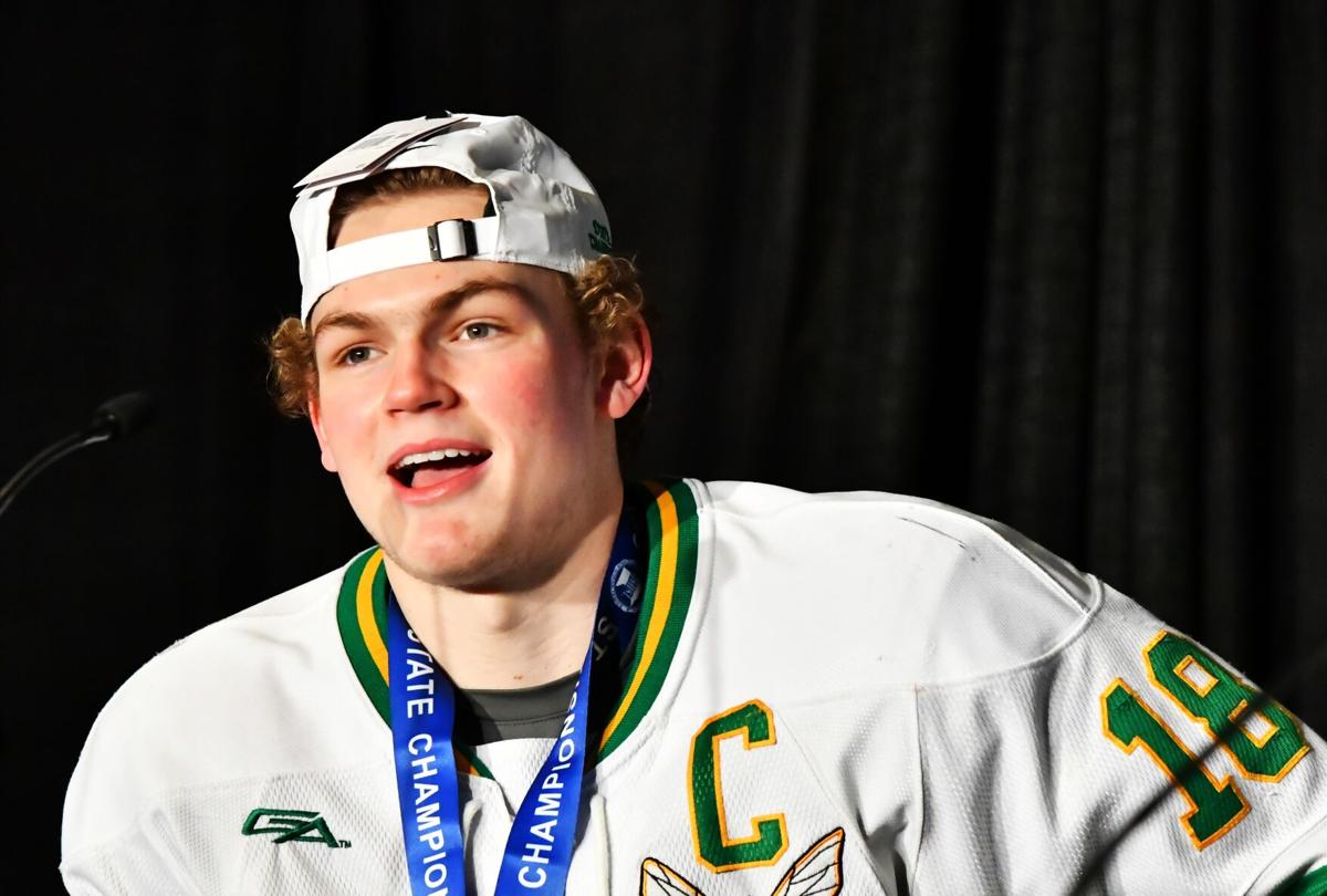 Lake players dominate All-State boys hockey selections | Sports ...