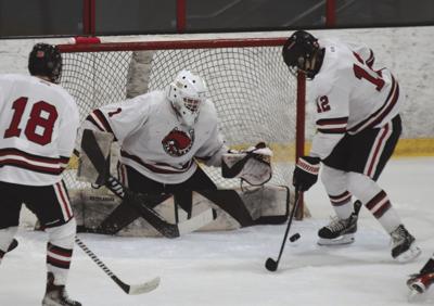 Boys hockey: Reedy chosen MVP for Ponies | Sports | hometownsource.com