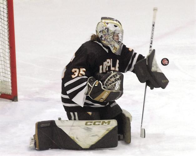 Tigers, Irish earn top seeds in girls hockey playoffs | Sports ...