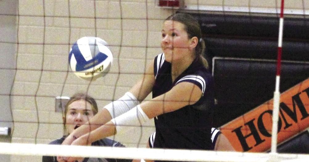 Local athletes named to JVA watch list | Sports | hometownsource.com