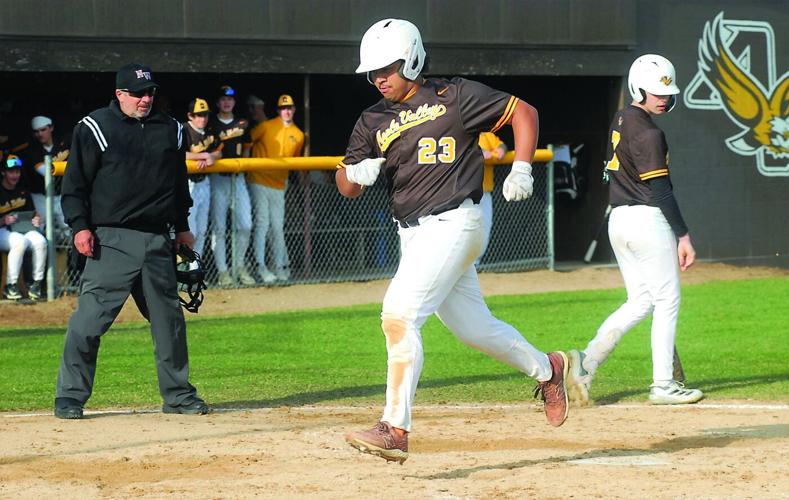 Baseball: Farmington edges Eagan, holds on to SSC lead | Sports ...