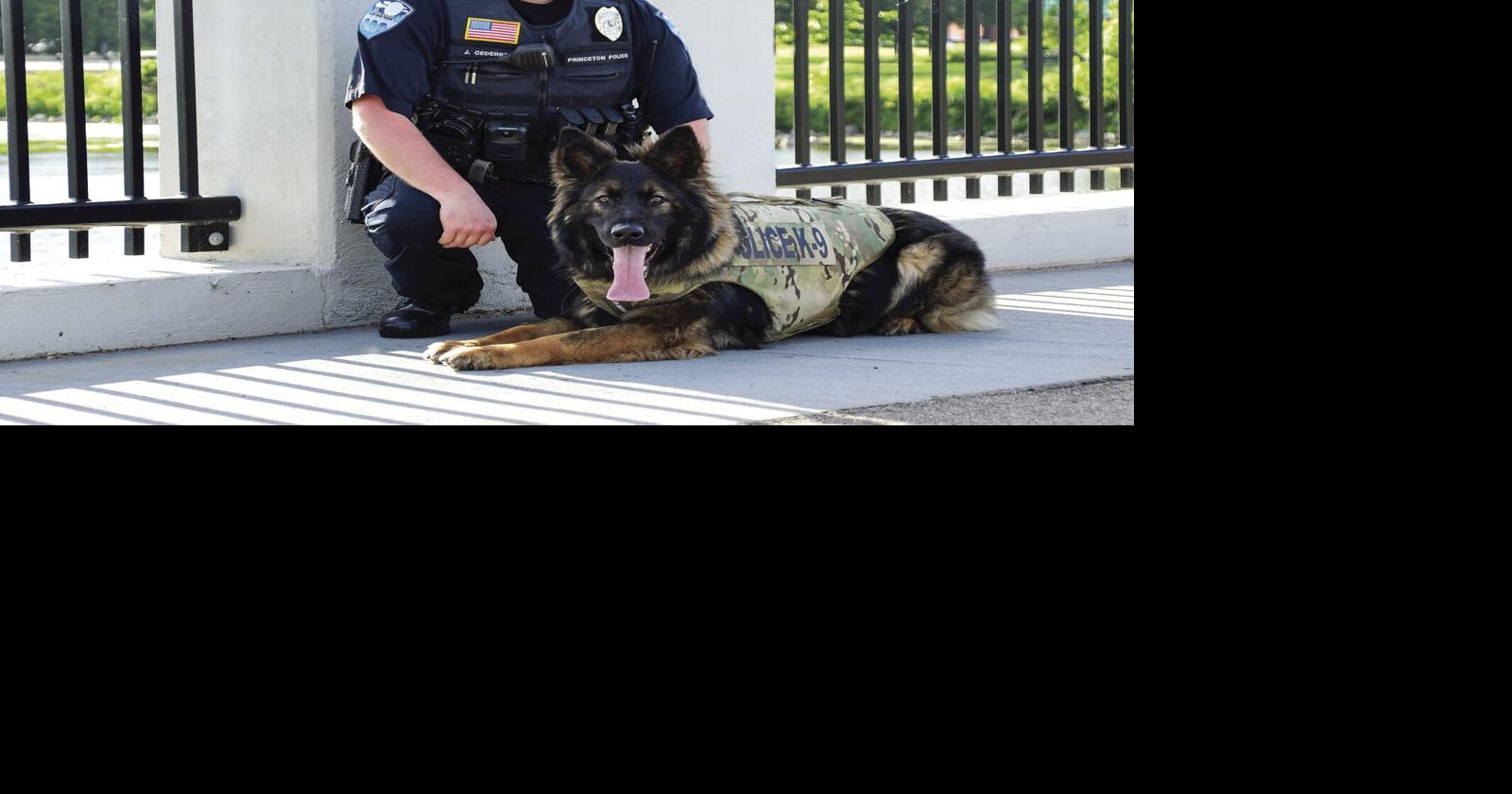 Princeton Police K9 team participate in national calendar | Free ...