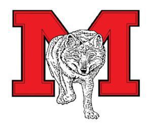 Dozens discuss future of Milaca school facilities | Education ...