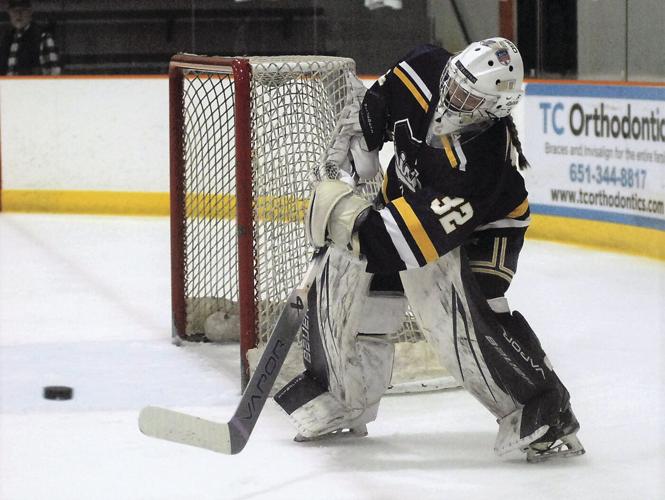 Girls hockey: Tigers take SSC lead by locking down | Sports ...