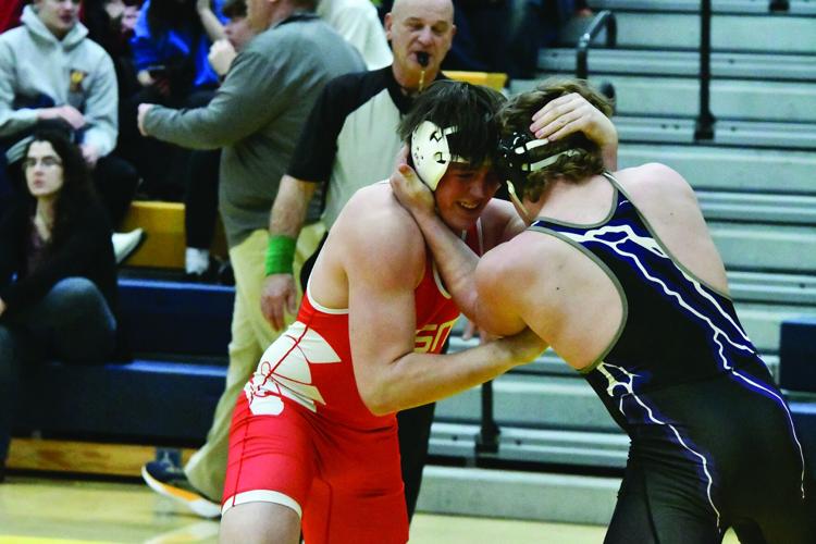 Red Knights wrestlers complete season at sections | Sports ...