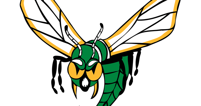 Edina Public Schools reach settlement in Hornet logo copyright lawsuit ...