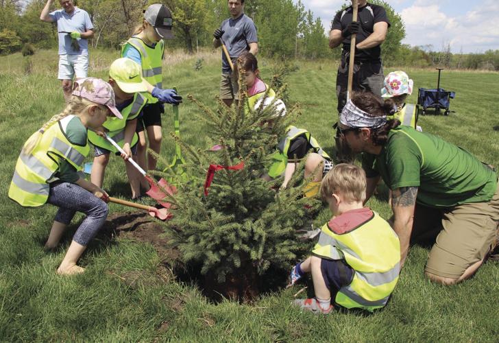 Families plant 62 trees for Blaine | Blaine | hometownsource.com