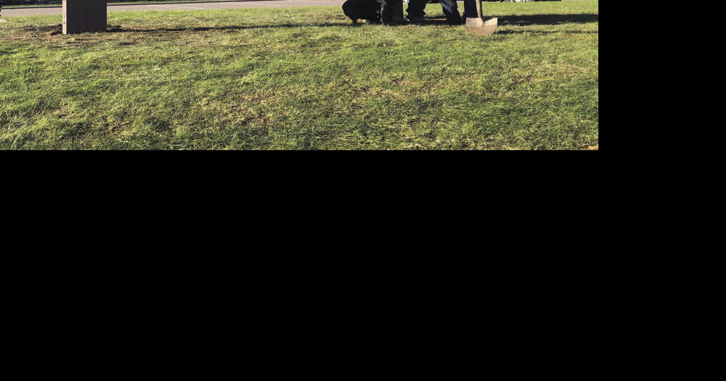 Sign installed in Excelsior Studer Park | Excelsior/South Lake ...