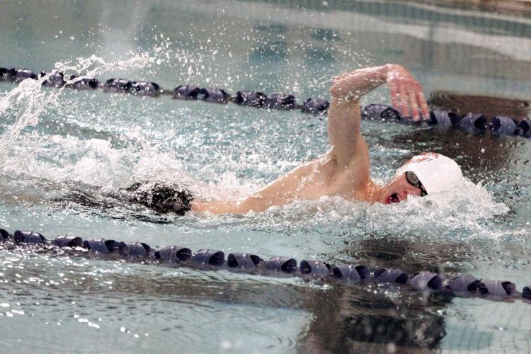 Wings swimming and diving finds promise in first year as co-op | Sports ...