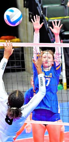 A perfect season for the Wayzata volleyball team | Sports ...
