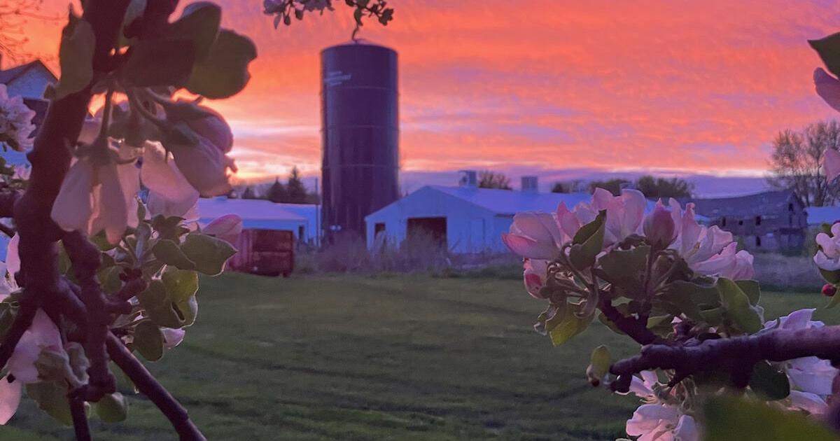 Berning sisters win Otsego photo contest | Elk River Star News ...
