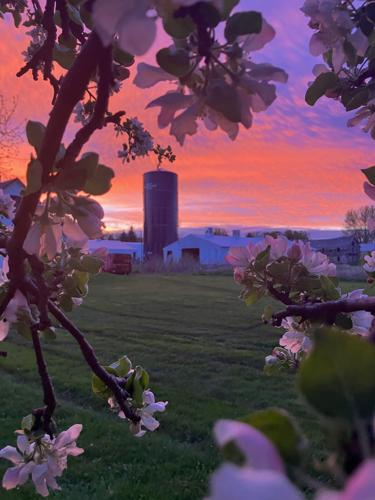 Berning sisters win Otsego photo contest | Elk River Star News ...