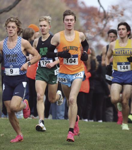 Boys cross-country: Foote places sixth to pace Ponies at state | Free ...