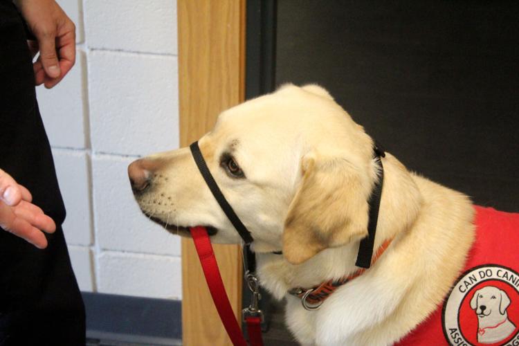 New EMS dog offers emotional support to first responders | News ...