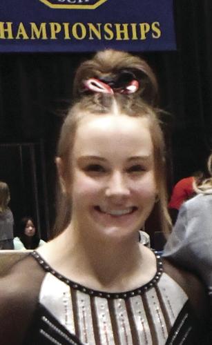 Area gymnasts shine at state | News | hometownsource.com