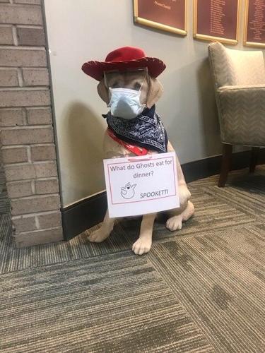 Mr. Ubu rides into retirement at Guardian Angels | Elk River Star News ...