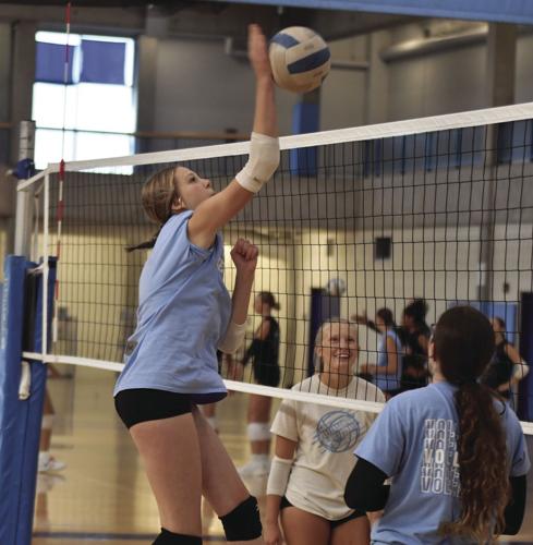 Experience abounds for Jaguar volleyball | Sports | hometownsource.com