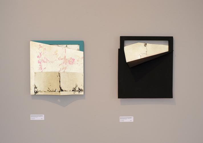 Teen curator’s project on display | Local News | hometownsource.com