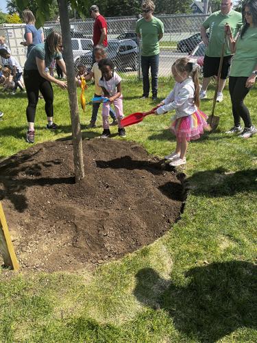 New trees planted at Rosemount Elementary School | Free ...