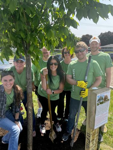New trees planted at Rosemount Elementary School | Free ...