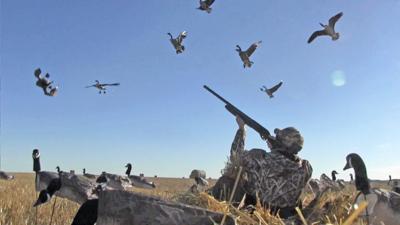 Waterfowl hunting seasons underway | | hometownsource.com