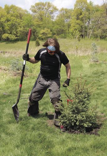 Families plant 62 trees for Blaine | Blaine | hometownsource.com