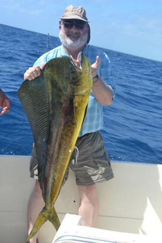 Kind, Conrad, Cook running unopposed for Greenwood City Council ...