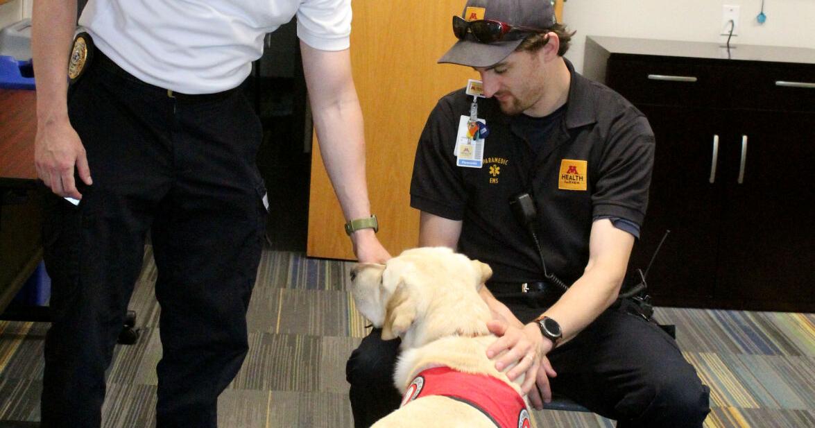 New EMS dog offers emotional support to first responders | News ...