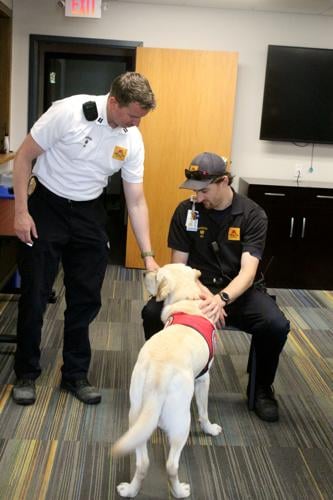 New EMS dog offers emotional support to first responders | News ...