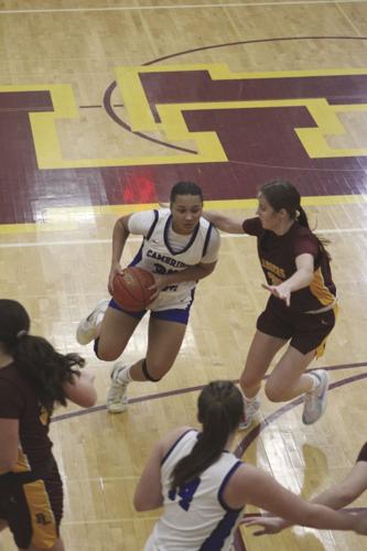 C-I girls hoops loses at Forest Lake | County News Review ...