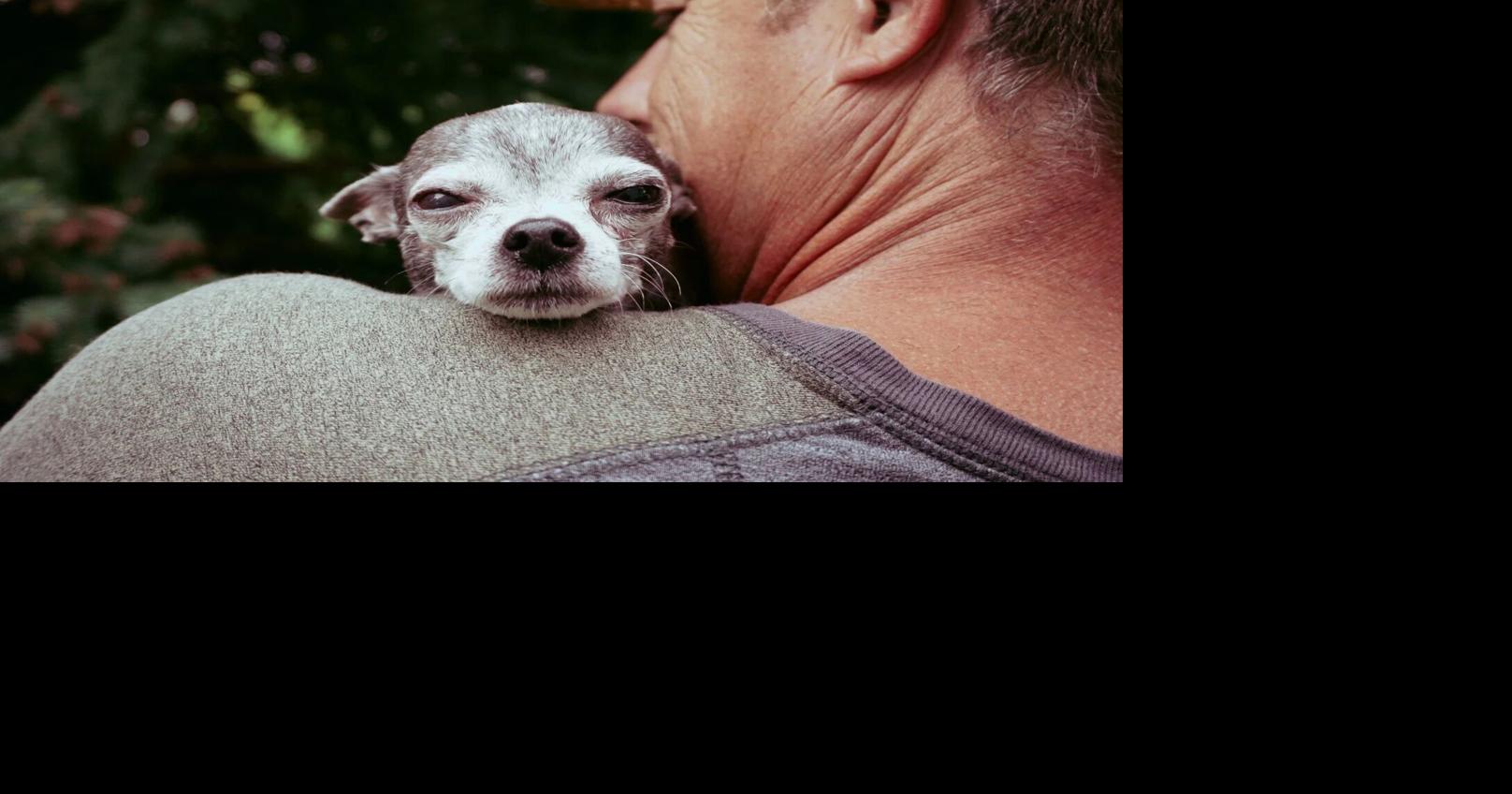 Edina photographer offers shoots for beloved pets nearing end of life ...