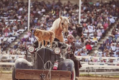 The Mustang Man is headed to Hamel Rodeo | Free | hometownsource.com