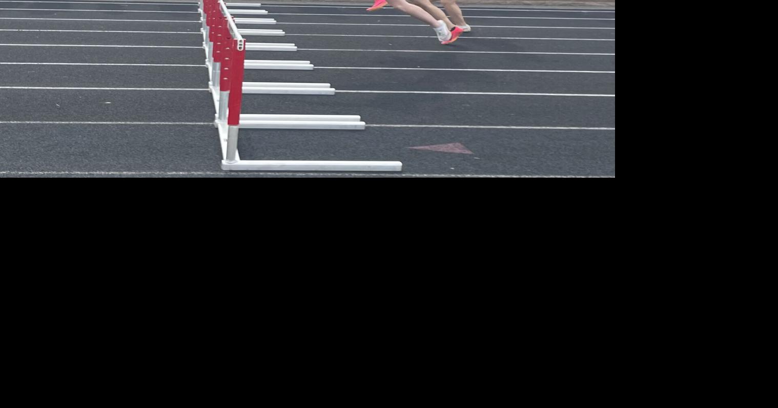 Tigers track and field to be well-represented at state meet | Community ...