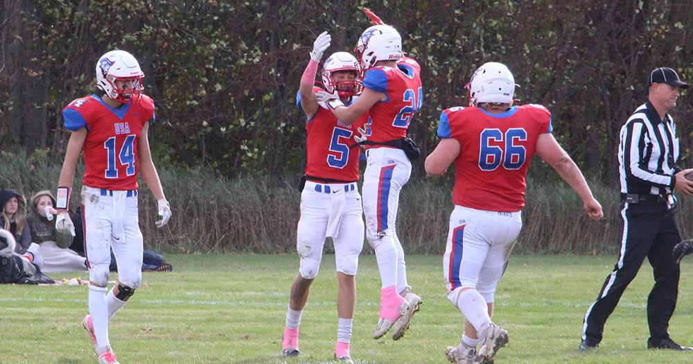 Patriots fly by the Saints in 20-14 victory | Morrison County Record ...