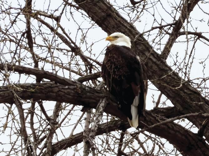 Lake life: The long dry spell | Local News | hometownsource.com