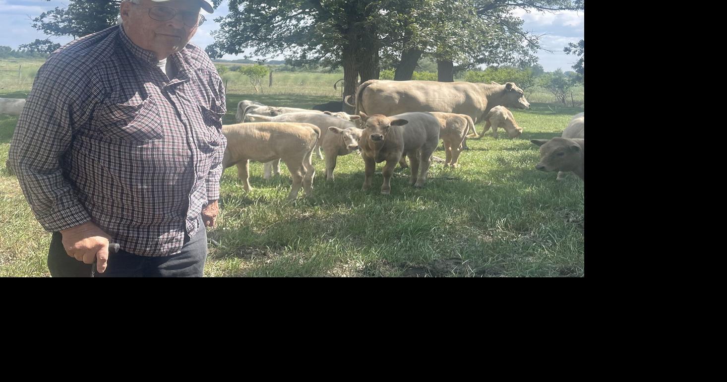 Fifty years of memories raising beefaloes | Morrison County Record ...