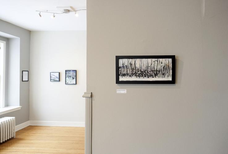 Teen curator’s project on display | Local News | hometownsource.com