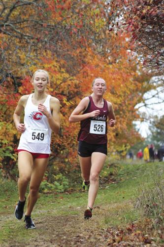 Cross-Country: Andover boys win section title thriller, Blaine's ...