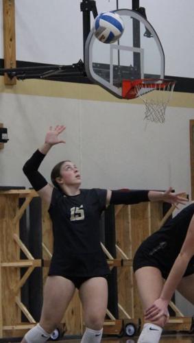 No. 2 Caledonia Area volleyball blasts past No. 15 Lourdes in Section ...