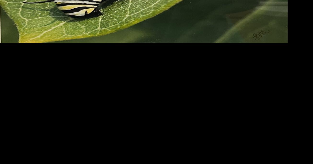 Eden Prairie artist featured in Sower Gallery exhibition | Eden Prairie ...