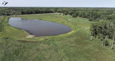 Wetland enhancement project promises cleaner water downstream | Local ...